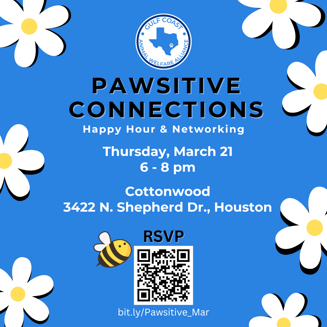 Pawsitive Connections Networking & Happy Hour – UU Animal Ministry of Houston